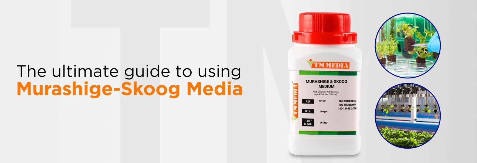 A Complete Guide to Using MS Medium