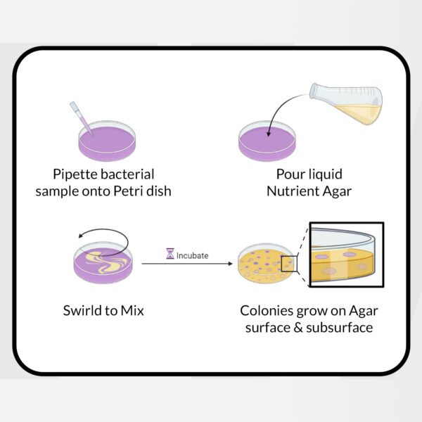 Pour Plate Method: Principle, Procedure, Uses and Importance