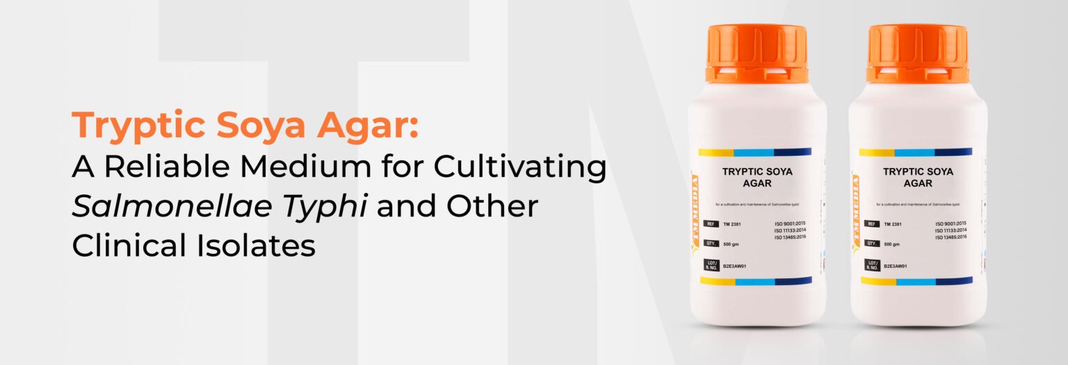 LJ Medium: Essential for Mycobacterium Culture